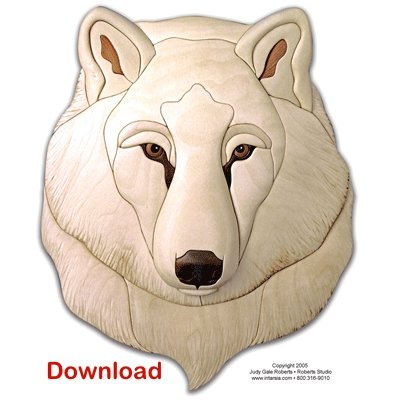 I-367 Arctic Wolf - intarsia.com